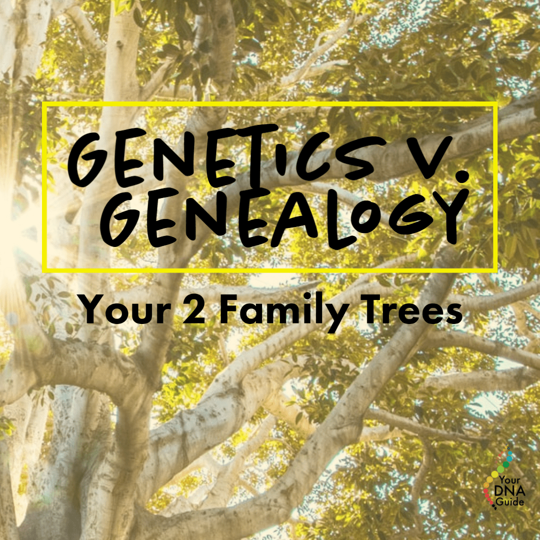 Genetics v. Genealogy: 2 Family Trees - Your DNA Guide - Diahan Southard