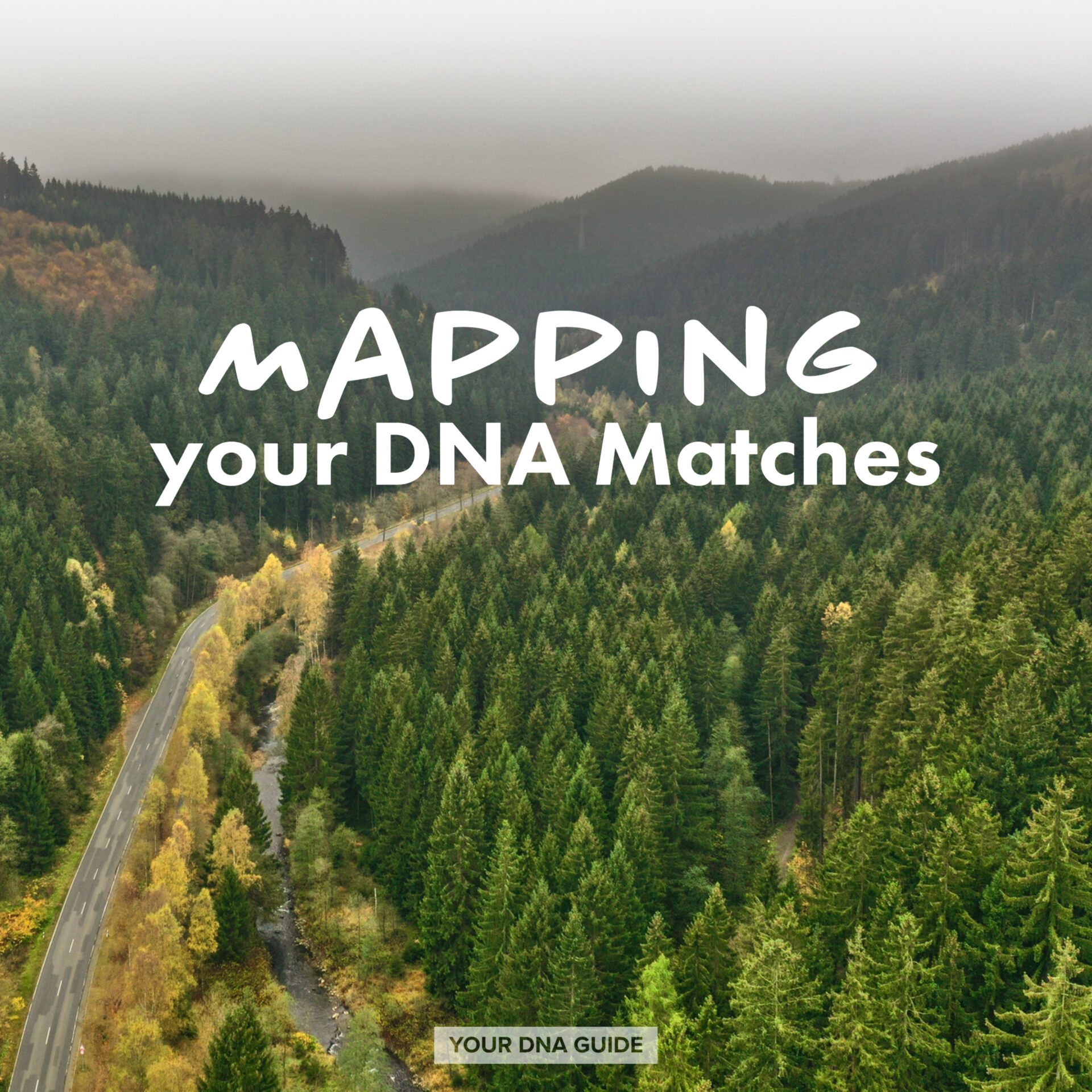 Map DNA Matches: Shared Ancestral Locations - Your DNA Guide - Diahan ...