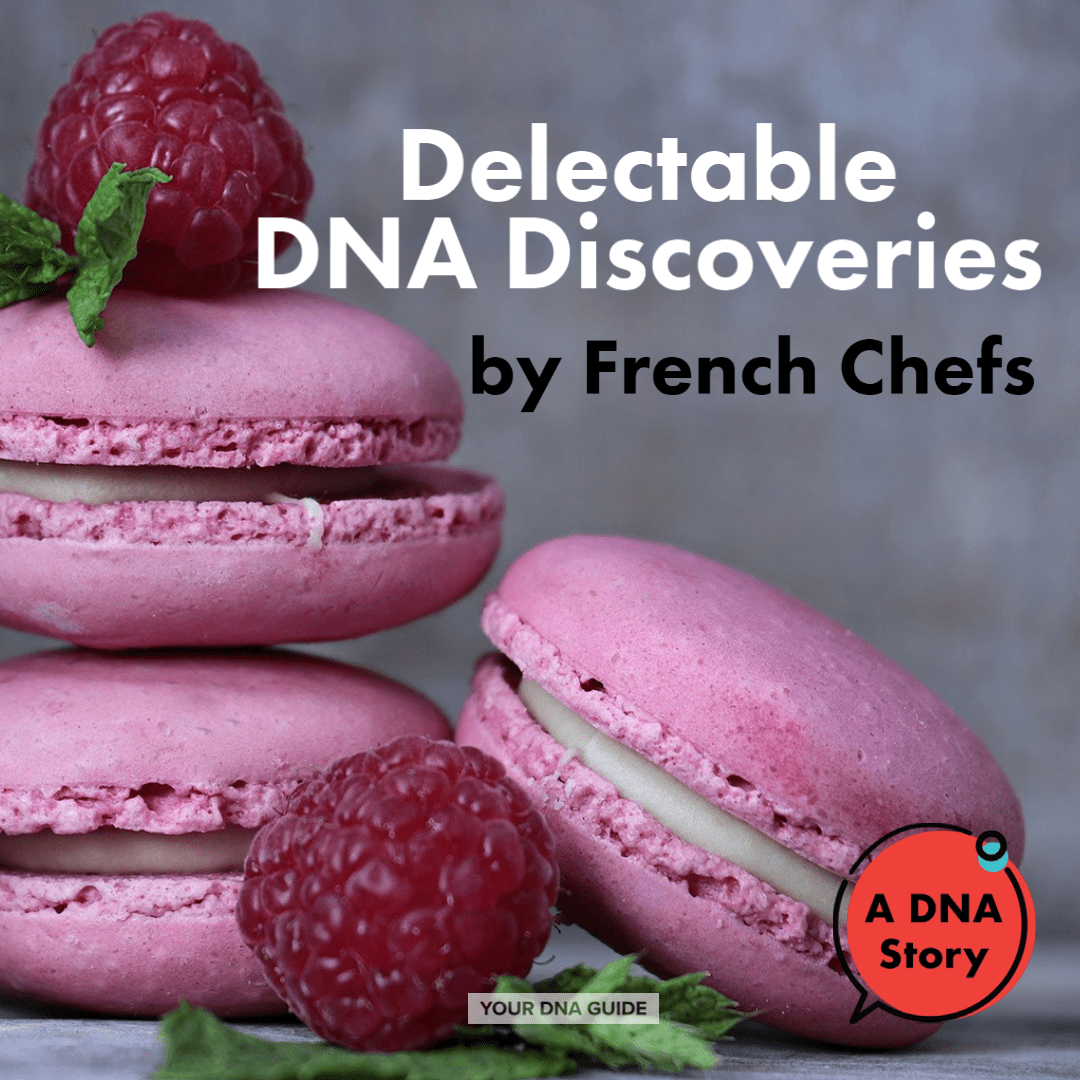 French Chefs Discover Delectable Family History - Your DNA Guide ...