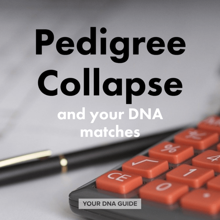 Pedigree Collapse and Your DNA Matches - Your DNA Guide - Diahan Southard