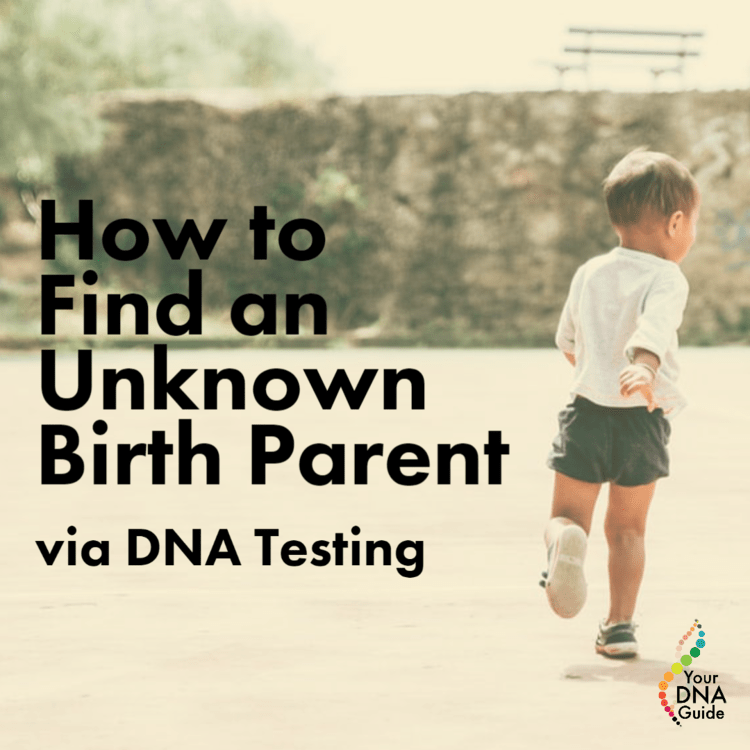 DNA Testing To Identify a Birth Parent - Your DNA Guide - Diahan Southard