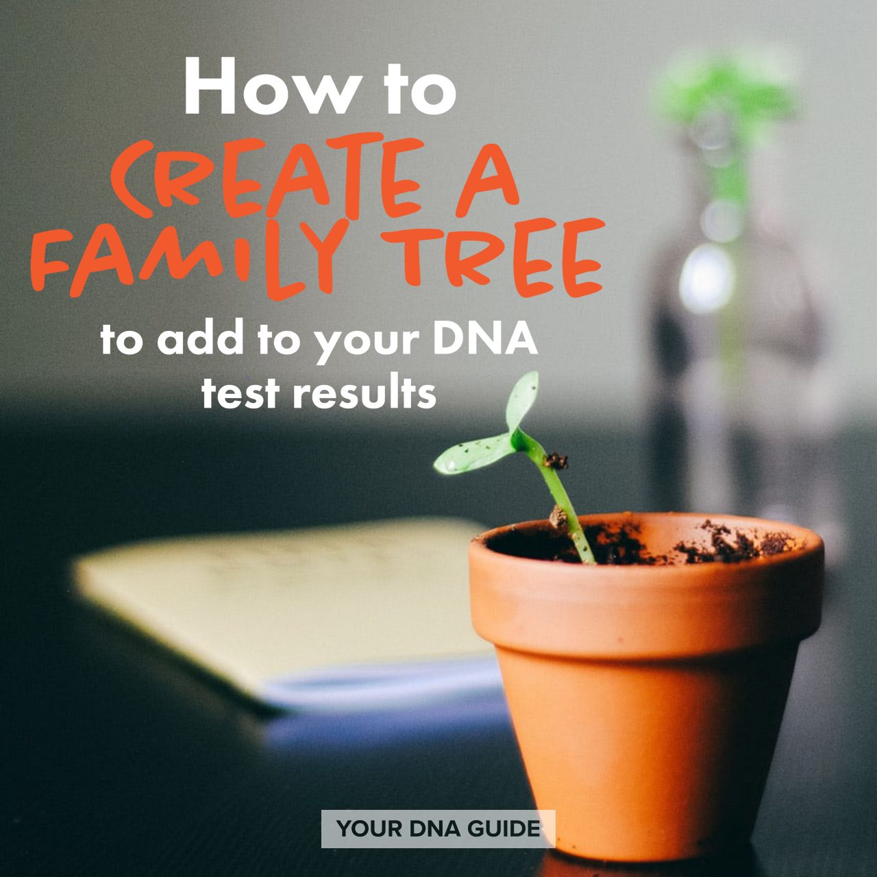 Family Tree Basics for DNA - Your DNA Guide - Diahan Southard