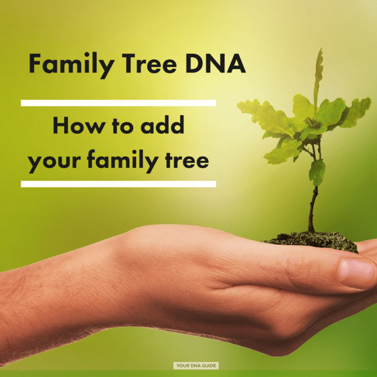 Family Tree DNA Add A Family Tree Your DNA Guide Diahan Southard
