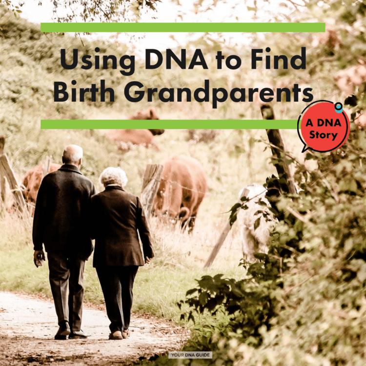 Finding Birth Grandparents: One Step Closer - Your DNA Guide - Diahan ...