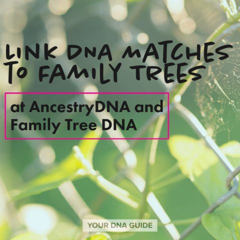 Family Tree Basics - DNA - Your DNA Guide - Diahan Southard