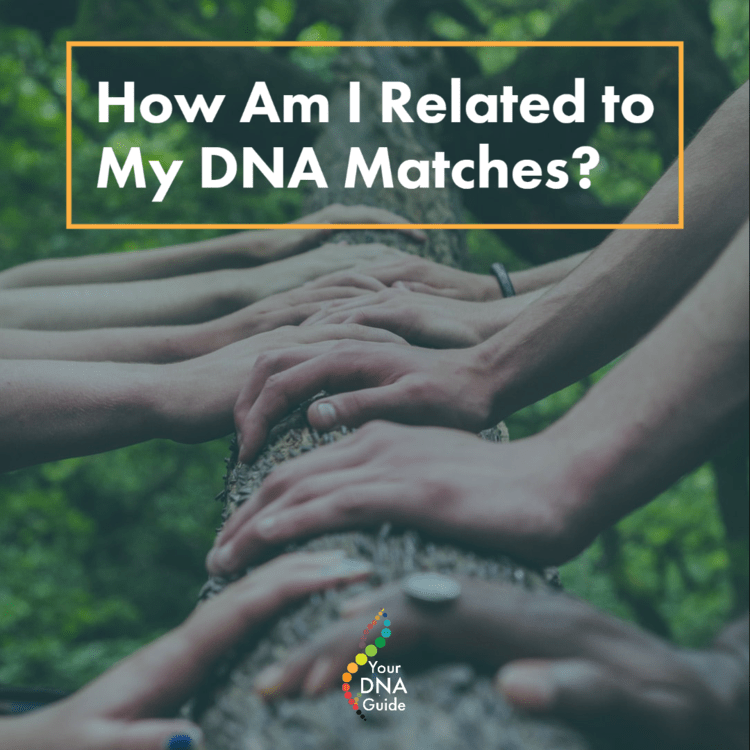 How Am I Related to My DNA Matches? - Your DNA Guide - Diahan Southard