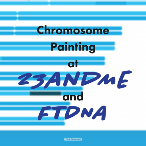 23andMe Review | 23andMe DNA Testing - Your DNA Guide - Diahan Southard