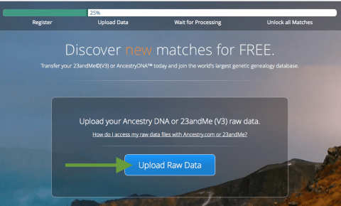 FTDNA Transfer - Your DNA Guide - Diahan Southard