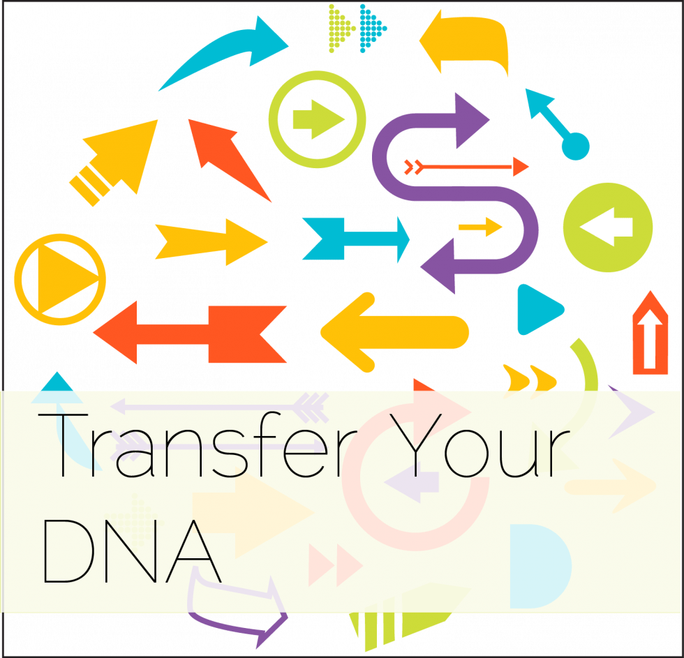 How to Transfer DNA Tests to Other Companies for FREE - Your DNA Guide ...