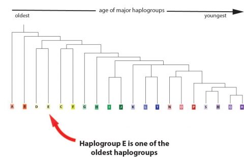 Y-DNA Haplogroup E: E1b1b and E1b1a - Your DNA Guide - Diahan Southard
