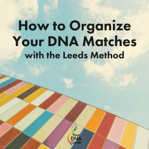 Organizing DNA Matches | Leeds Method - Your DNA Guide - Diahan Southard