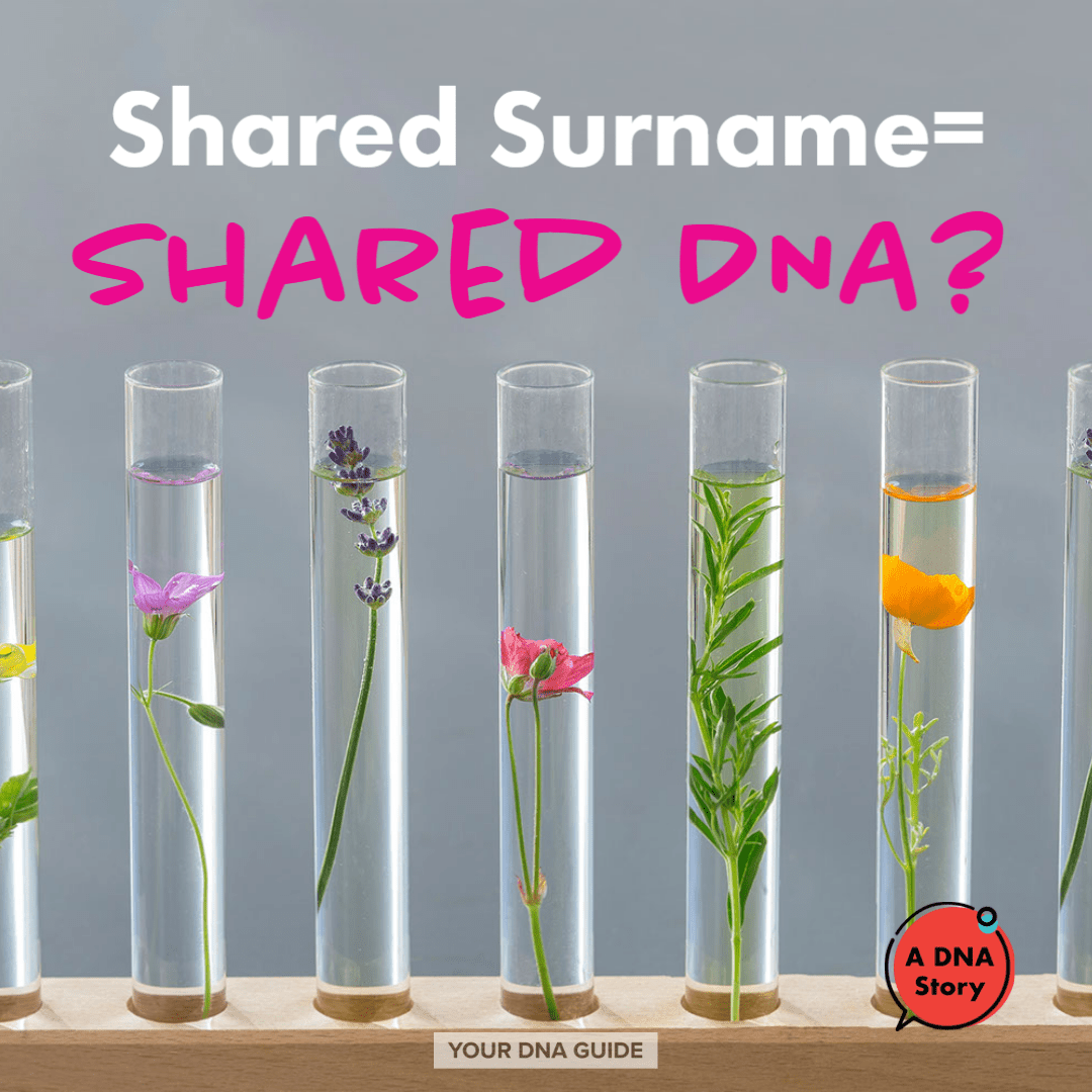 Combining DNA Test Types For Shared Surnames Your DNA Guide Diahan 