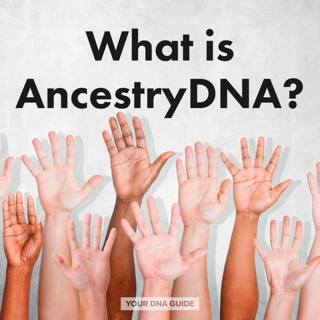 What is AncestryDNA | DNA Glossary - Your DNA Guide - Diahan Southard
