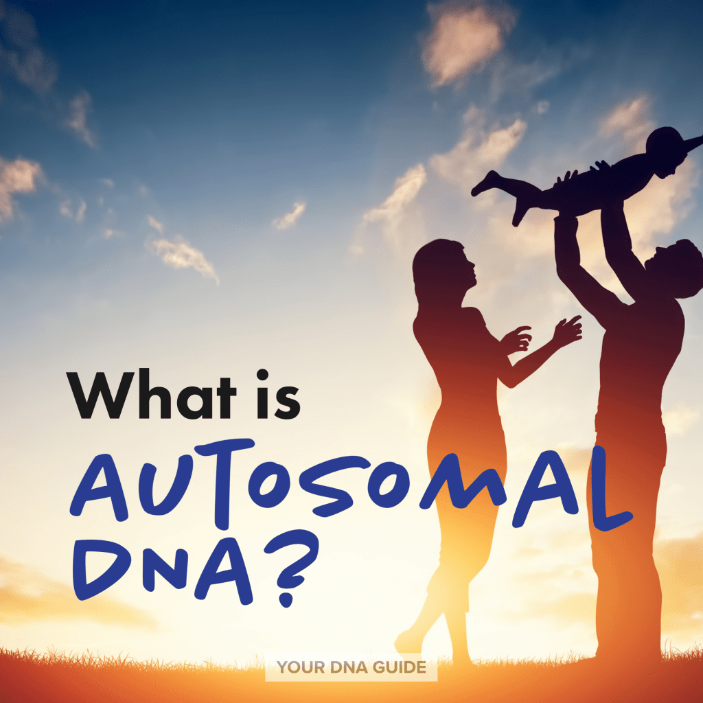 What is Autosomal DNA | atDNA | Autosomal DNA Test