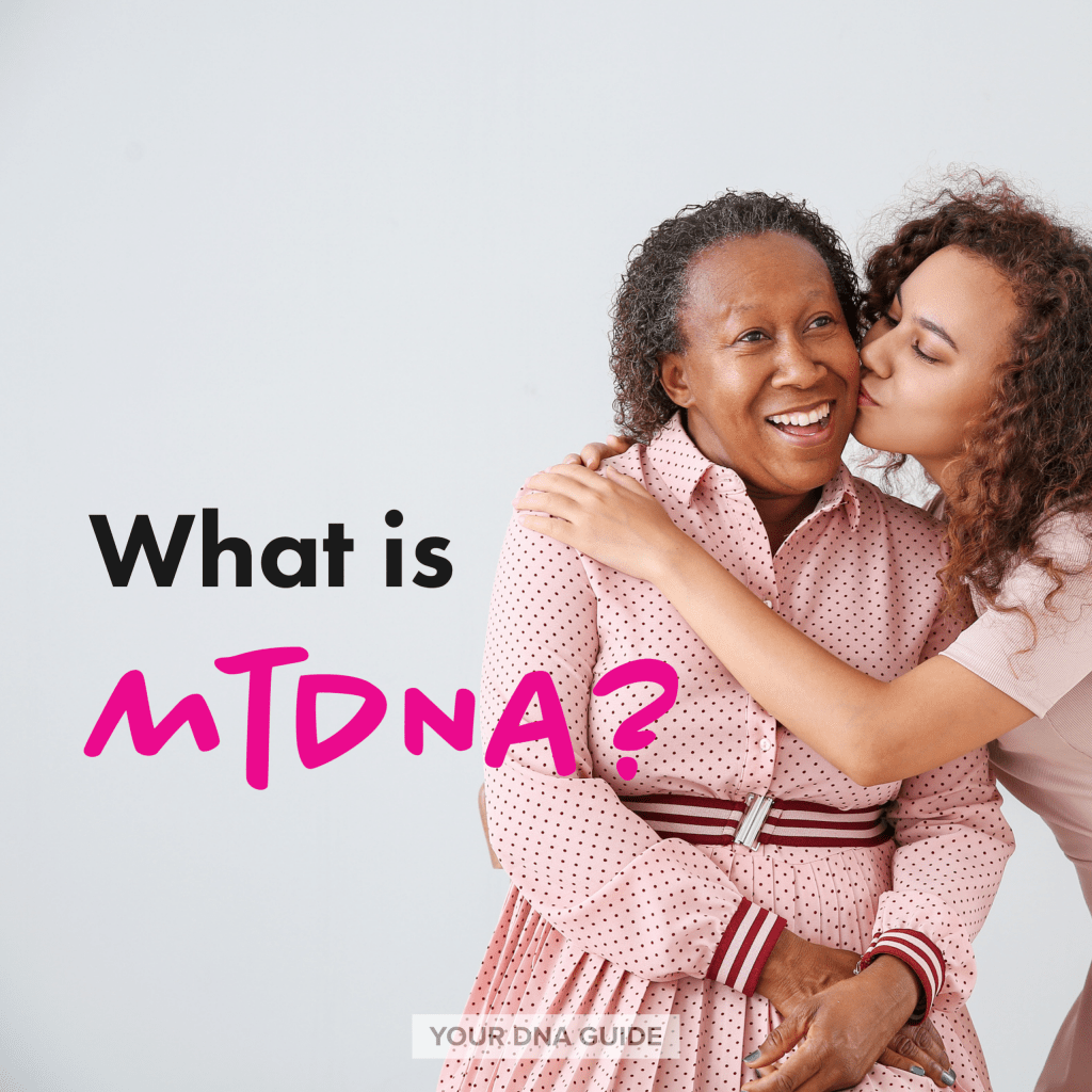 What is mtDNA? | Mitochondrial DNA | mtDNA Test | DNA Glossary