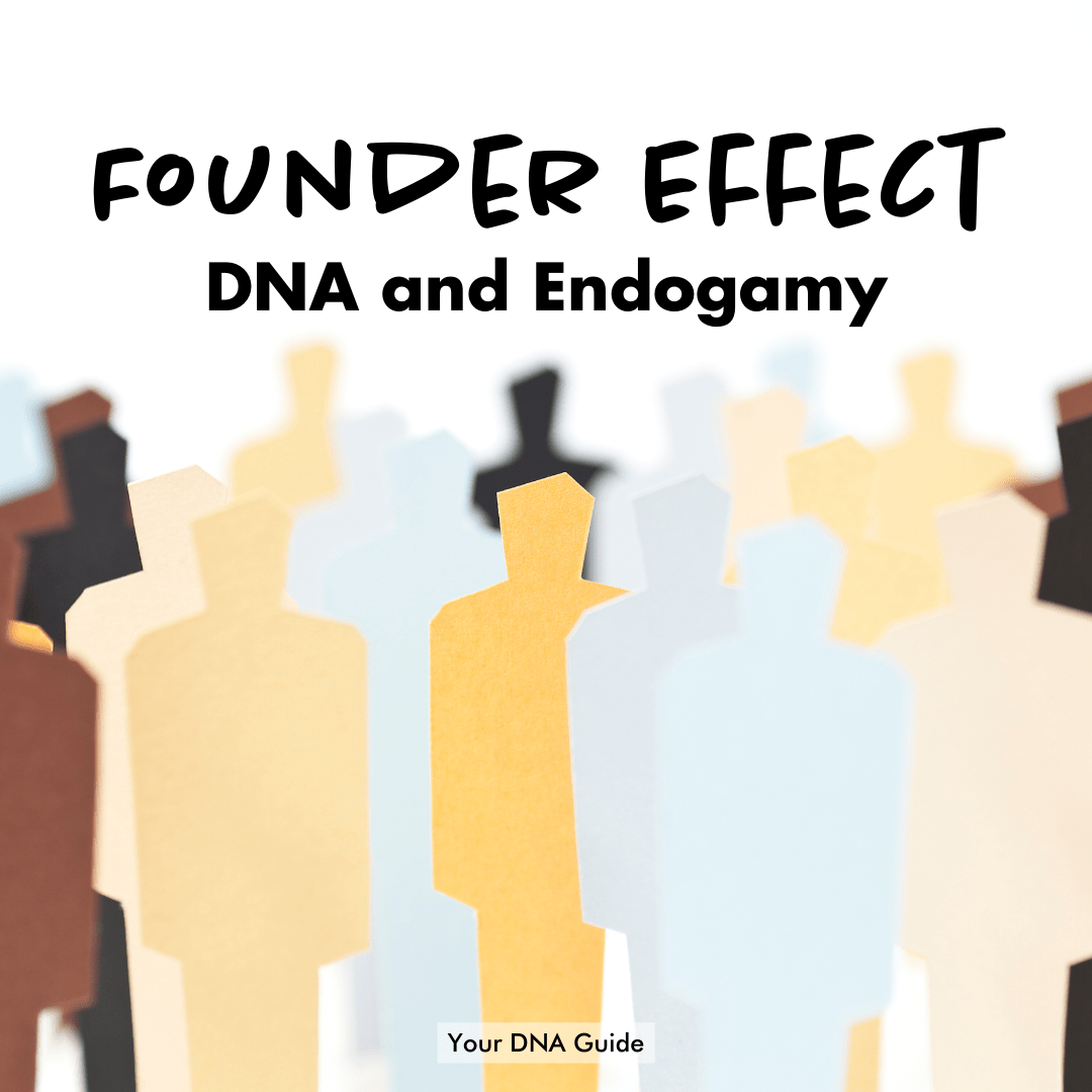 Founder Effect DNA And Endogamy Your DNA Guide Diahan Southard Founder Effect DNA And Endogamy Your DNA Guide Diahan Southard