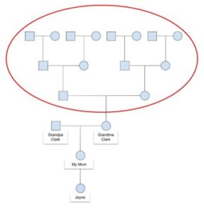mtDNA Haplogroup H - Your DNA Guide - Diahan Southard