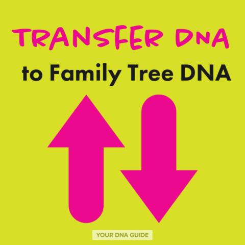 AncestryDNA | How to Download Raw Data - Your DNA Guide - Diahan Southard