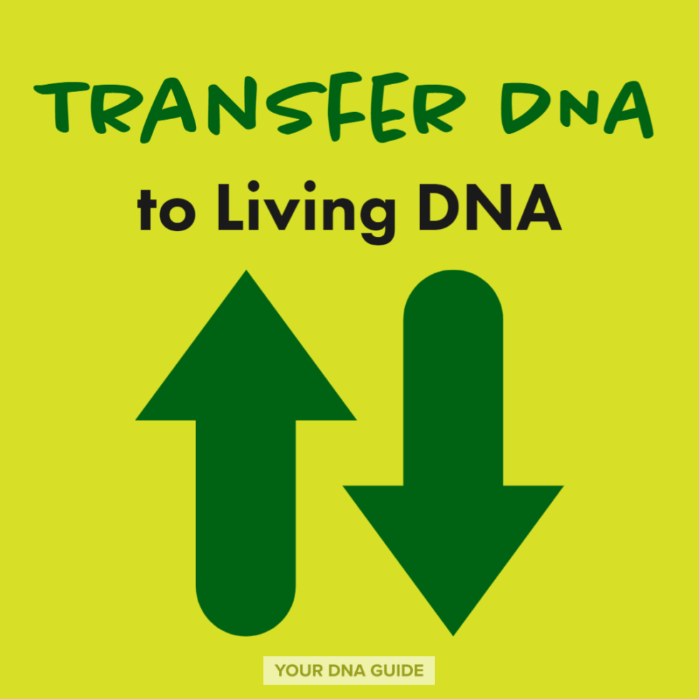 AncestryDNA | How to Download Raw Data - Your DNA Guide - Diahan Southard