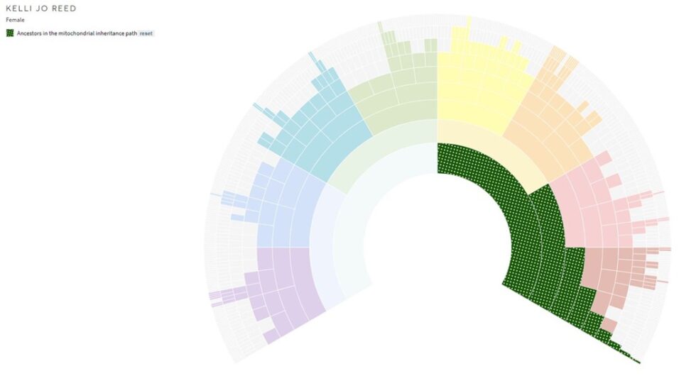 Mitochondrial DNA for Ancestry? Yes! - Your DNA Guide - Diahan Southard
