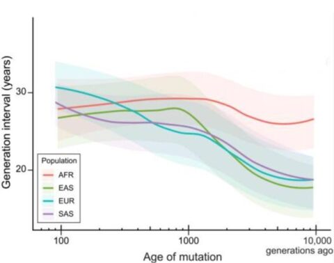 How Long Is a Generation? - Your DNA Guide - Diahan Southard